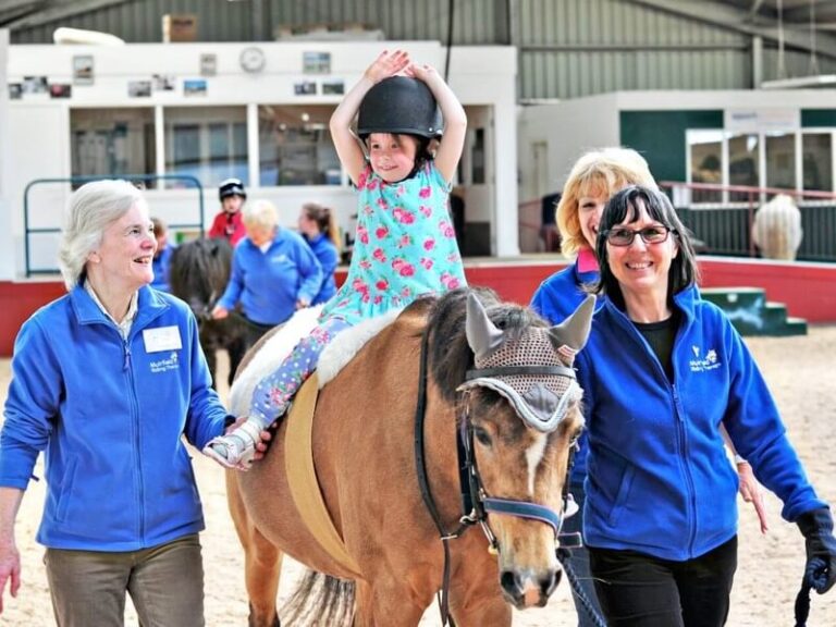 Equine Assisted Therapy | Muirfield Riding Therapy